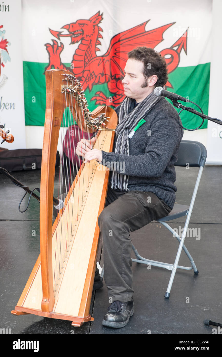 Playing Welsh harp on stage at Guildhall Square for a Saint David's Day ...