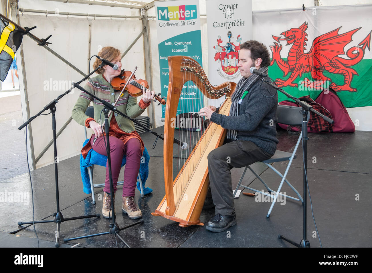 Playing Welsh harp on stage at Guildhall Square for a Saint David's Day ...
