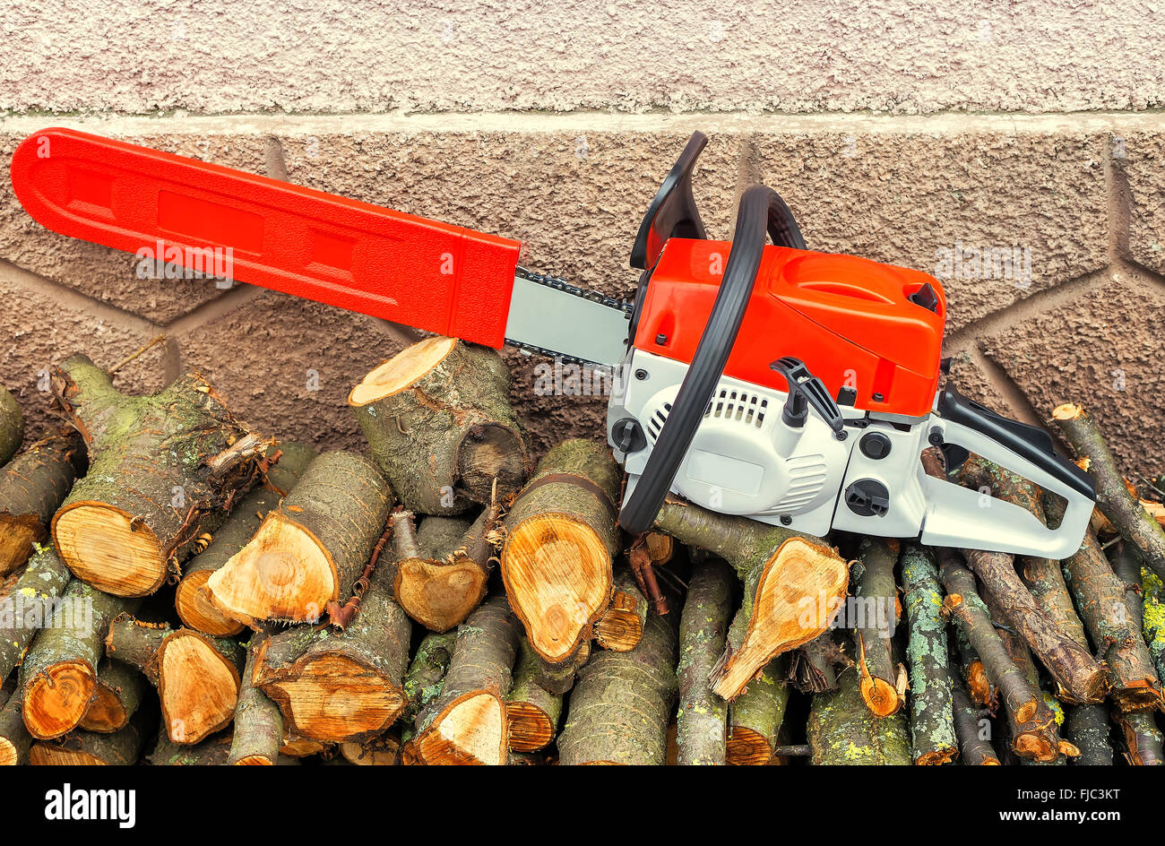 On a branch of the felled trees is a modern and powerful chainsaw ...