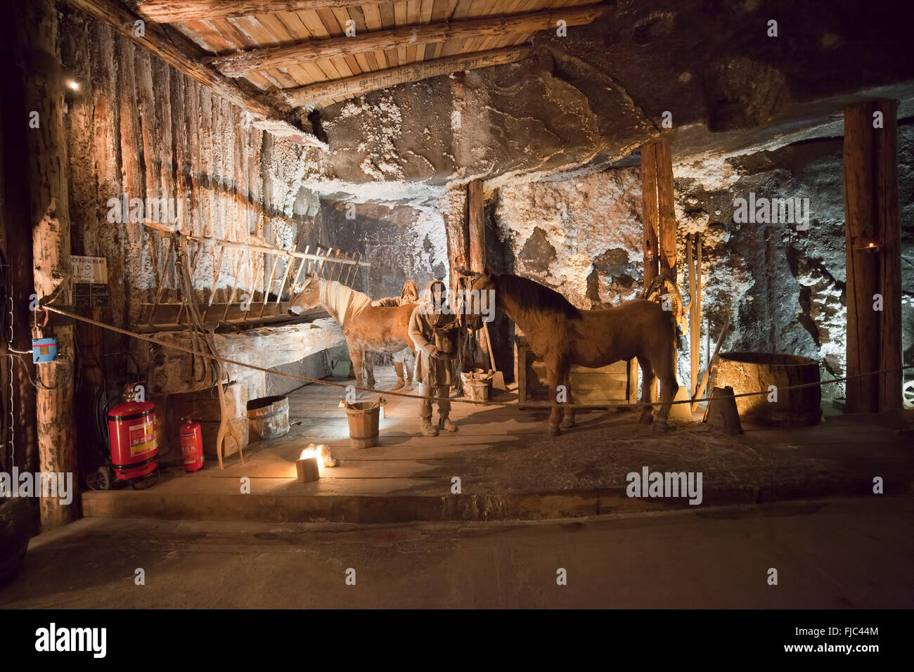 Europe, Poland, Wieliczka Salt Mine, draught horses in underground ...