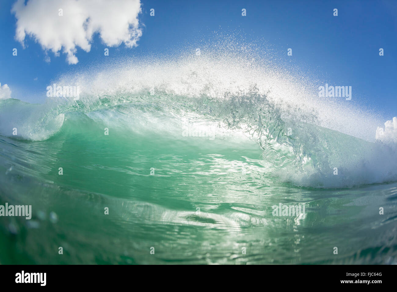 Ocean Wave crashing breaking water swimming inside closeup encounter ...