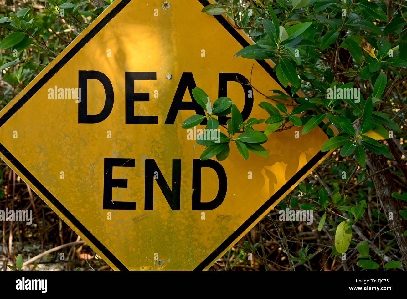 Dead End road sign in the street. Trees Stock Photo - Alamy