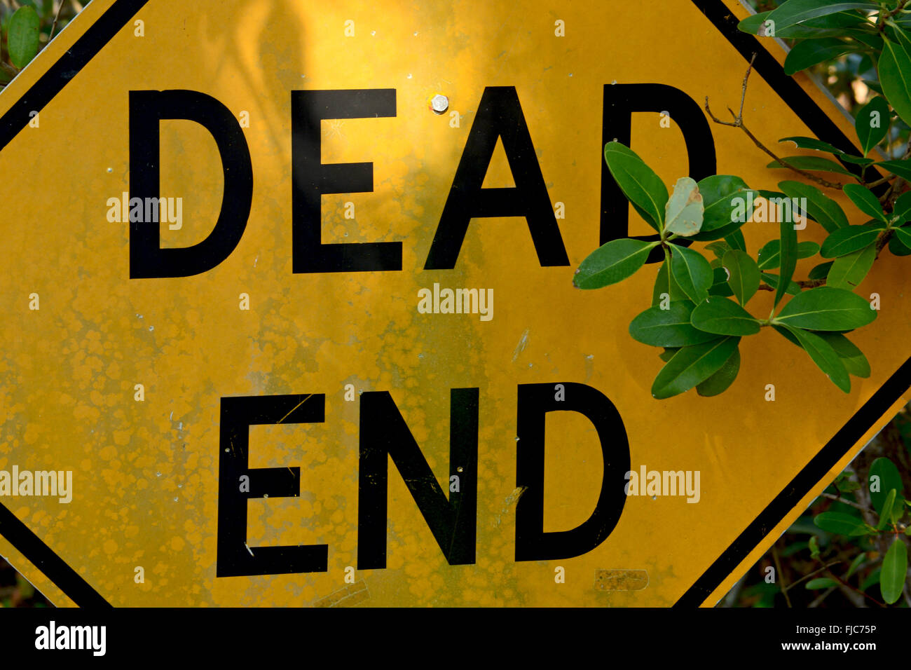 Dead end car hi-res stock photography and images - Alamy