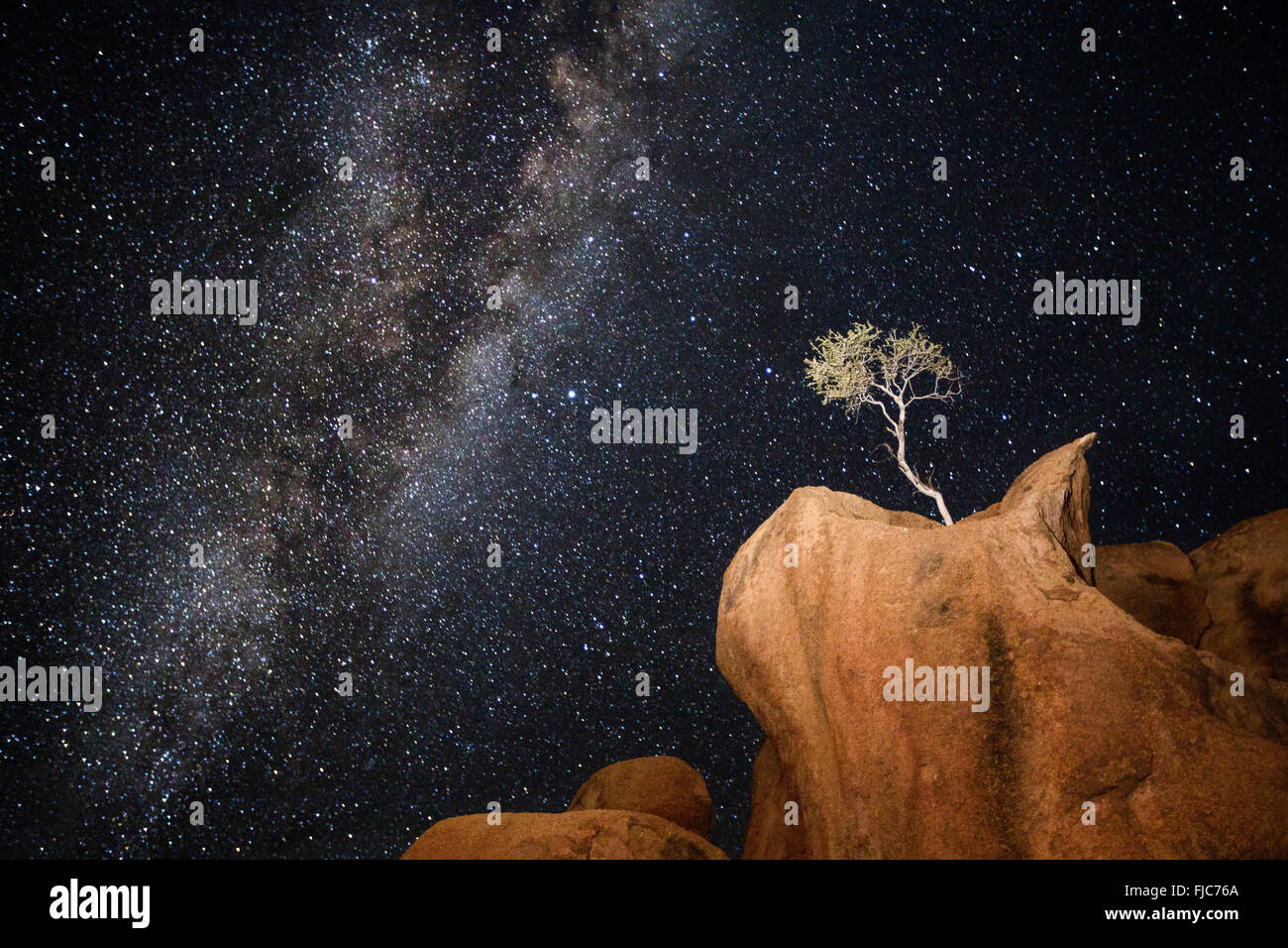A tree under the Milky Way Stock Photo - Alamy