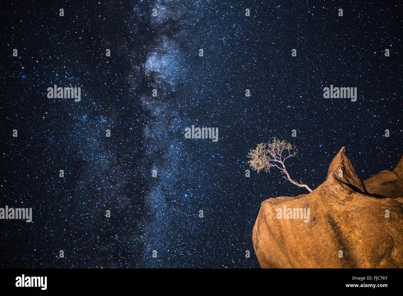 A tree under the Milky Way Stock Photo - Alamy