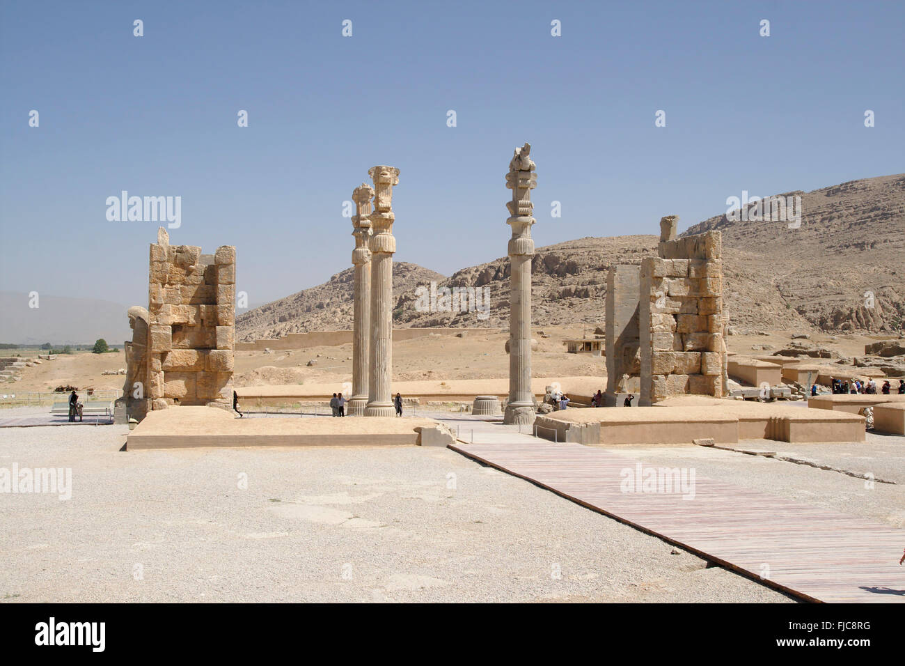 Columns of Apadana Palace, Persepolis, Iran Stock Photo - Alamy
