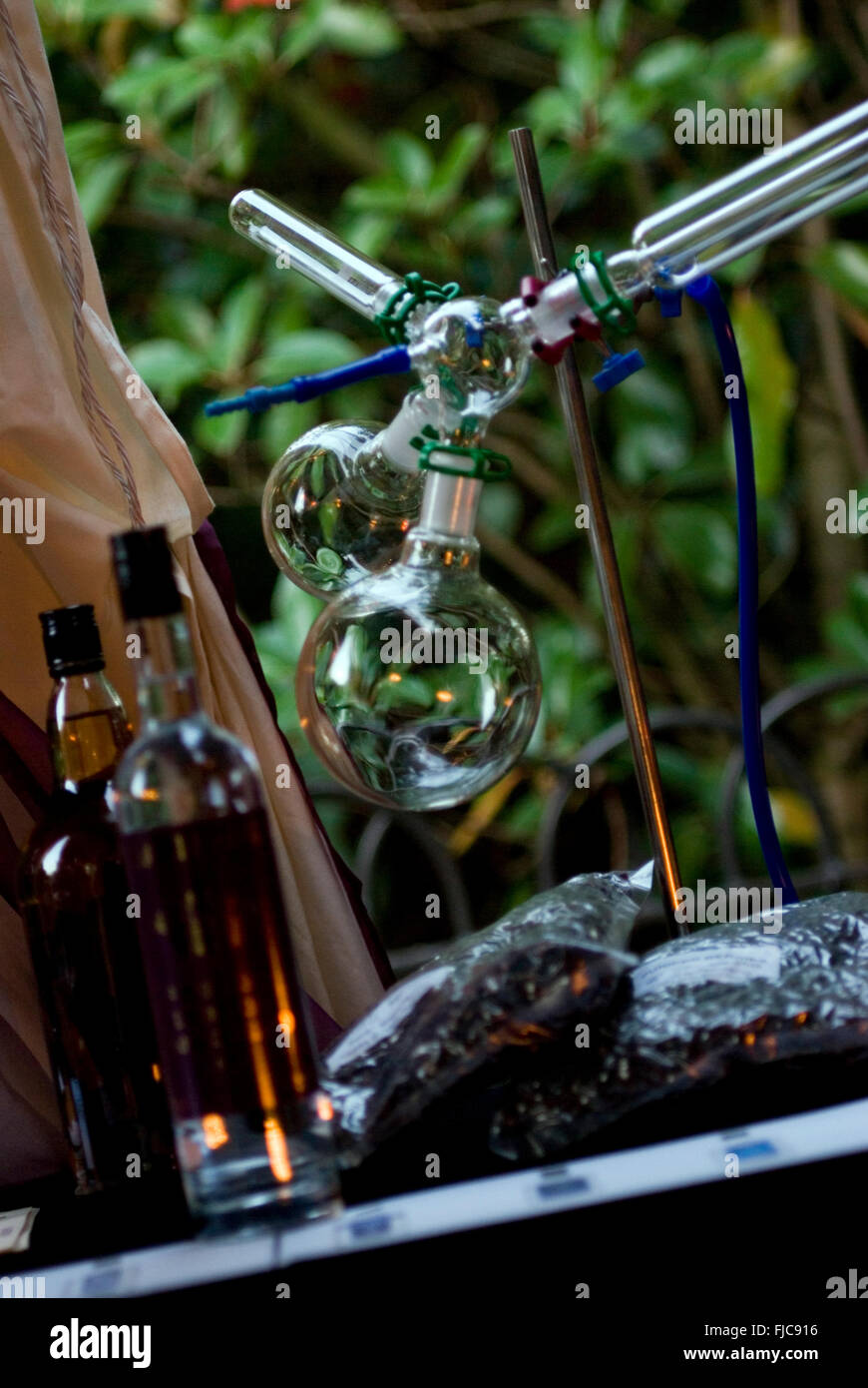 Juniper berries extract hi-res stock photography and images - Alamy