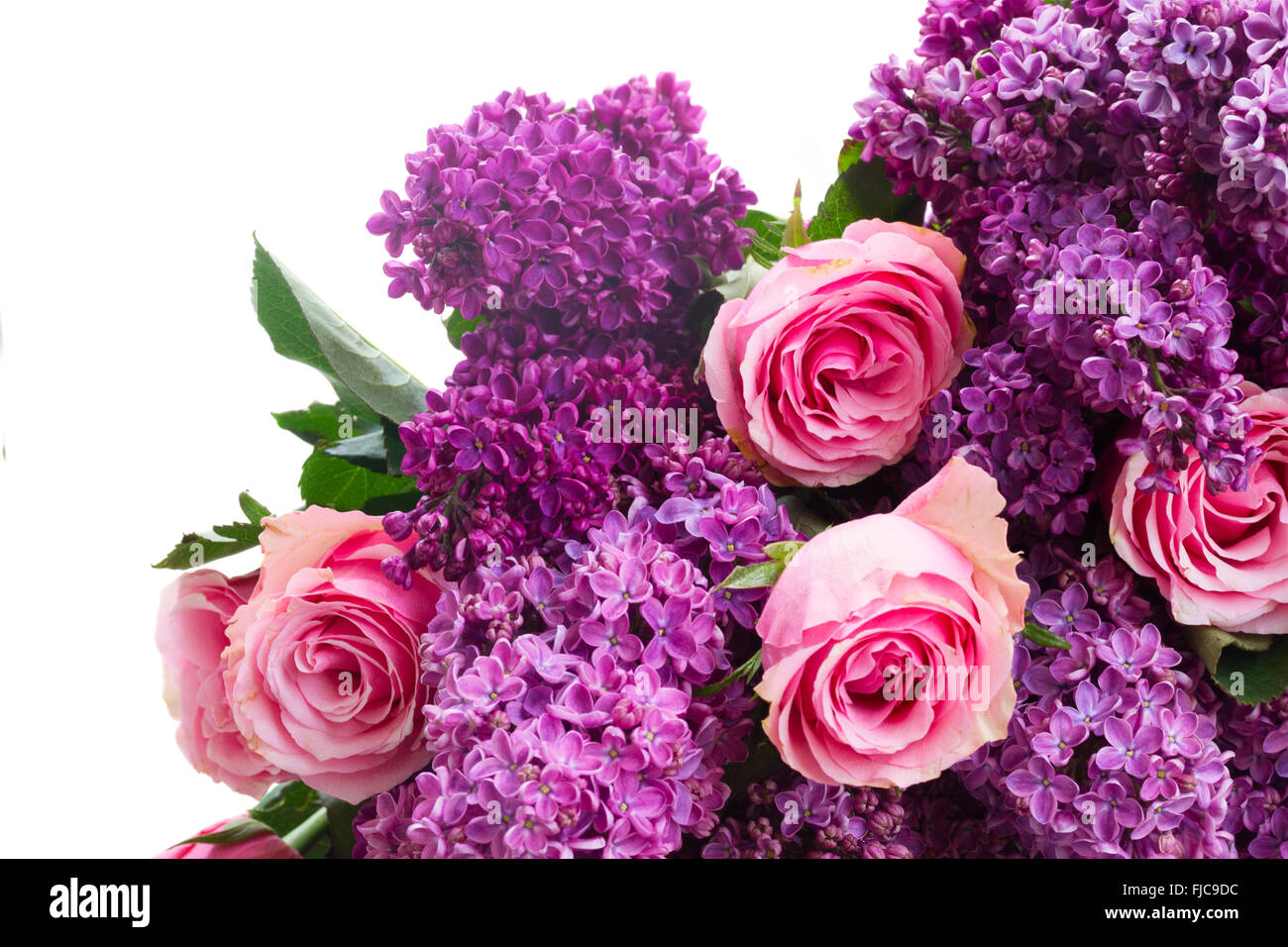 Lilac flowers with roses Stock Photo - Alamy