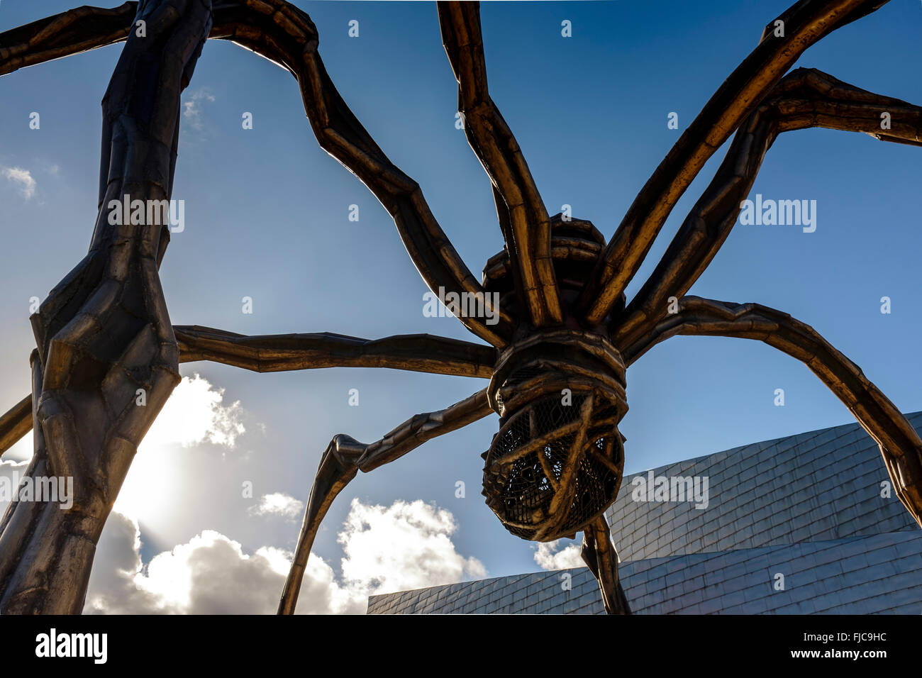 The spider sculpture maman by louise bourgeois guggenheim museum bilbao ...