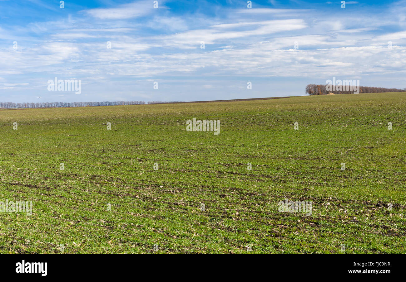 Early noon hi-res stock photography and images - Alamy