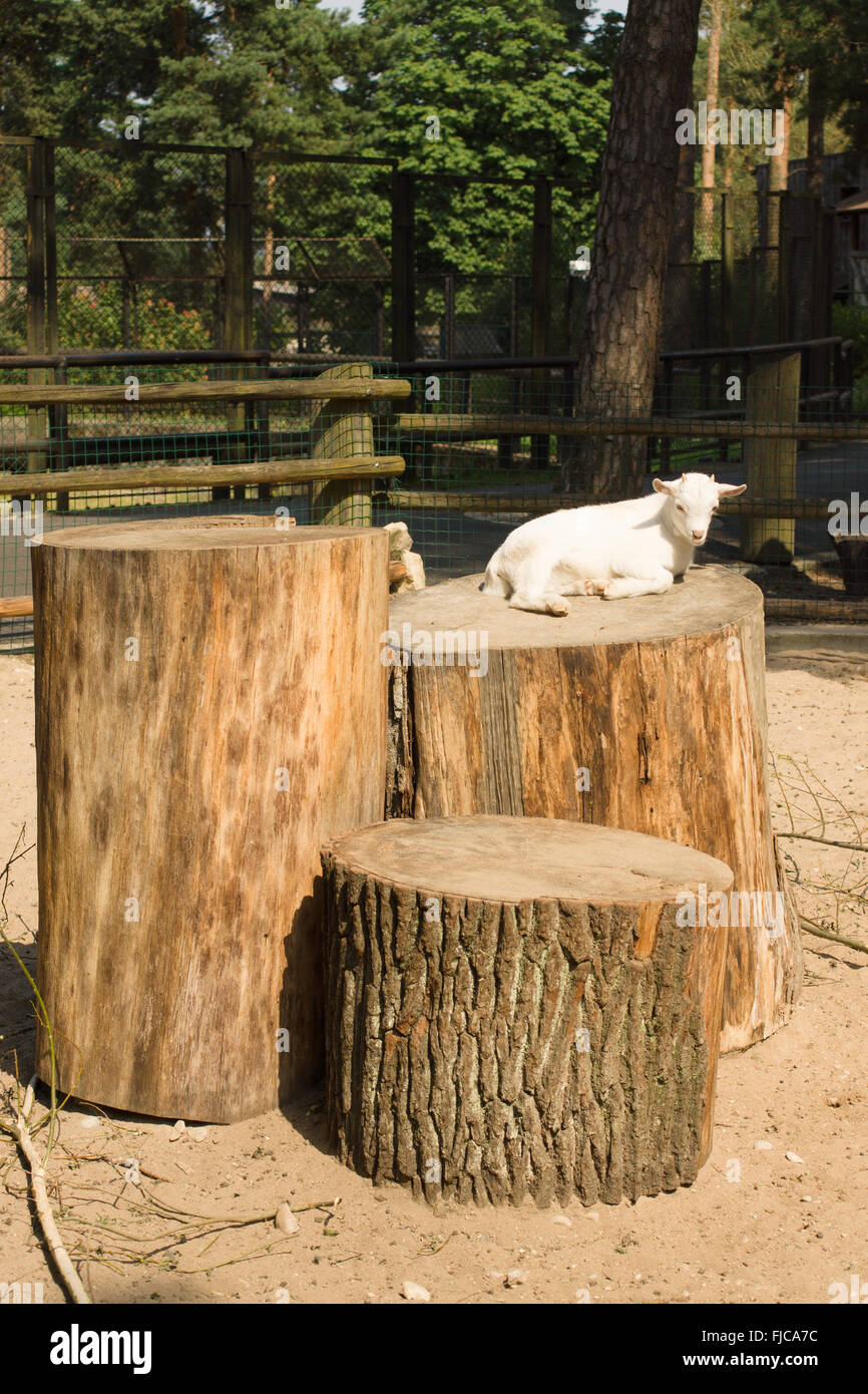 Lives on a farm hi-res stock photography and images - Alamy