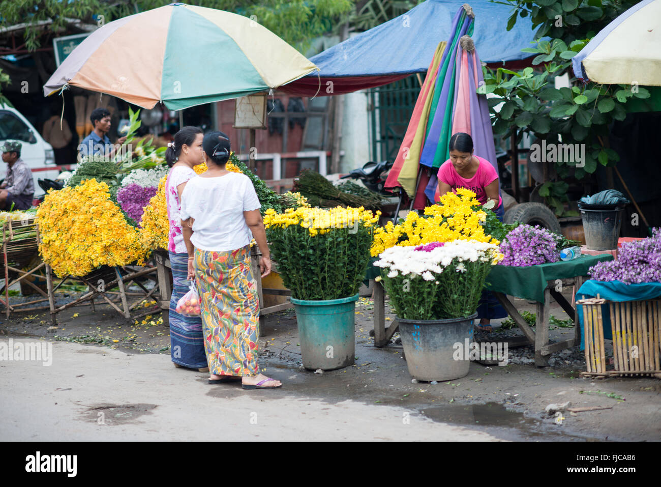 Flower Market Chrysanthemums And Jasmine Mandalay Myanmar // MANDALAY ...