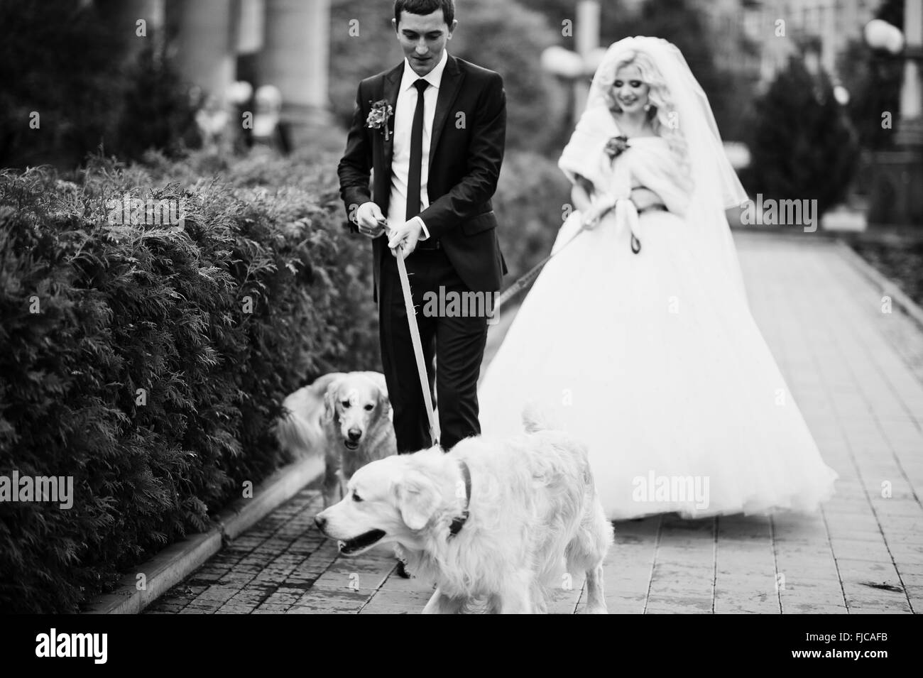 Kissing couple with dog Black and White Stock Photos & Images - Alamy