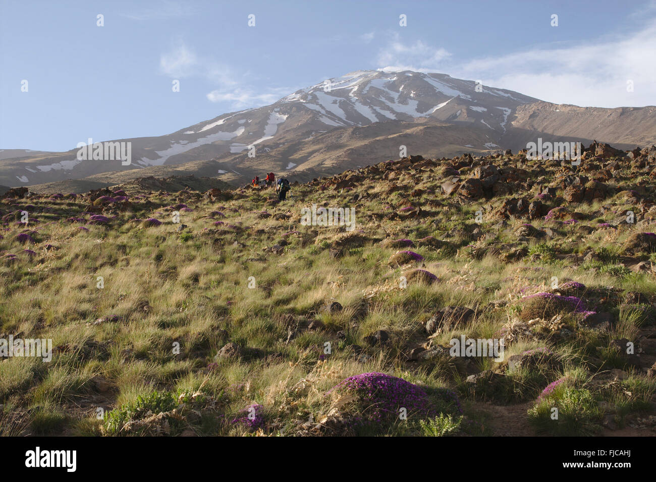 Mount Damavand, stratovolcano in the Alborz mountain range, Iran Stock ...