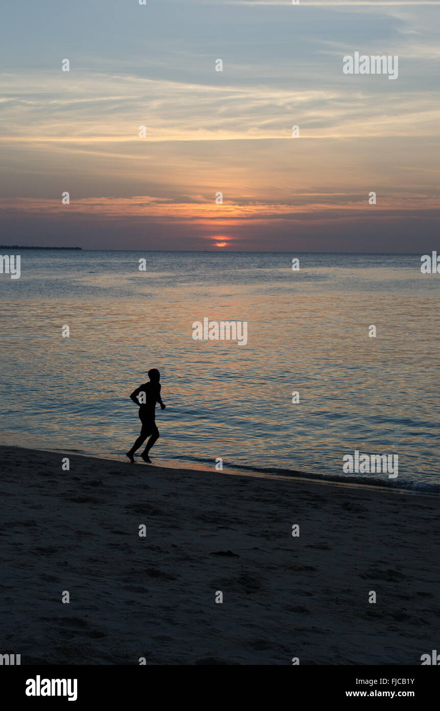 Silhouette of lone runner on beach Stock Photo - Alamy