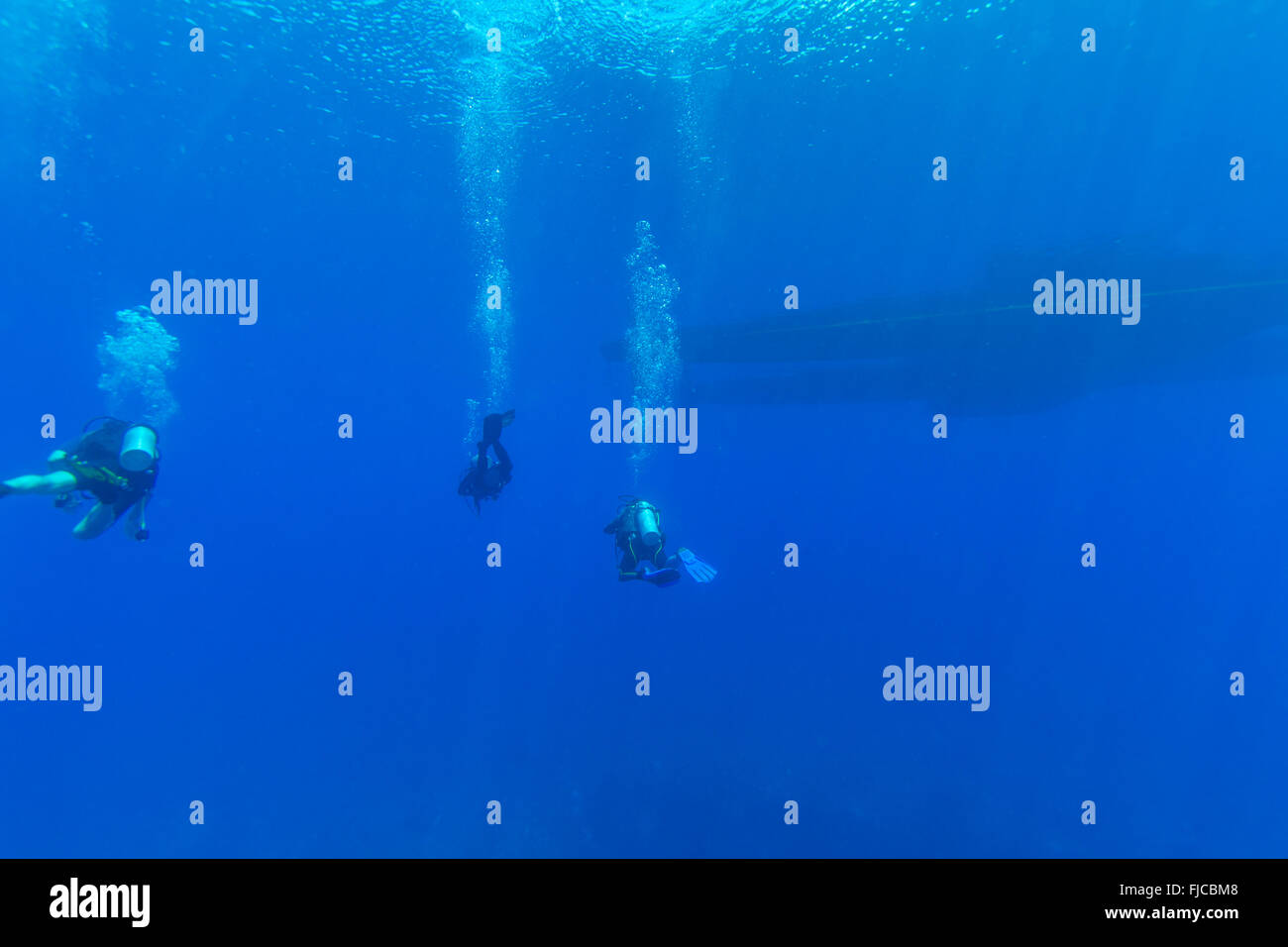 Group of Divers near Boat Swimming Underwater Stock Photo - Alamy
