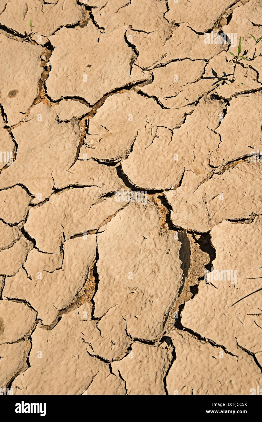 Cracked Dried Mud Abstract Stock Photos & Cracked Dried Mud Abstract ...