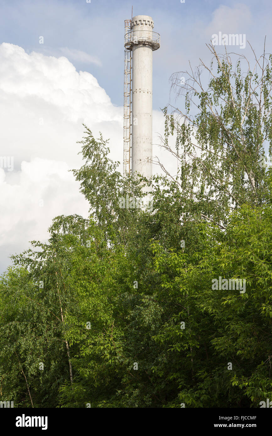 Rising above cloud forest hi-res stock photography and images - Alamy