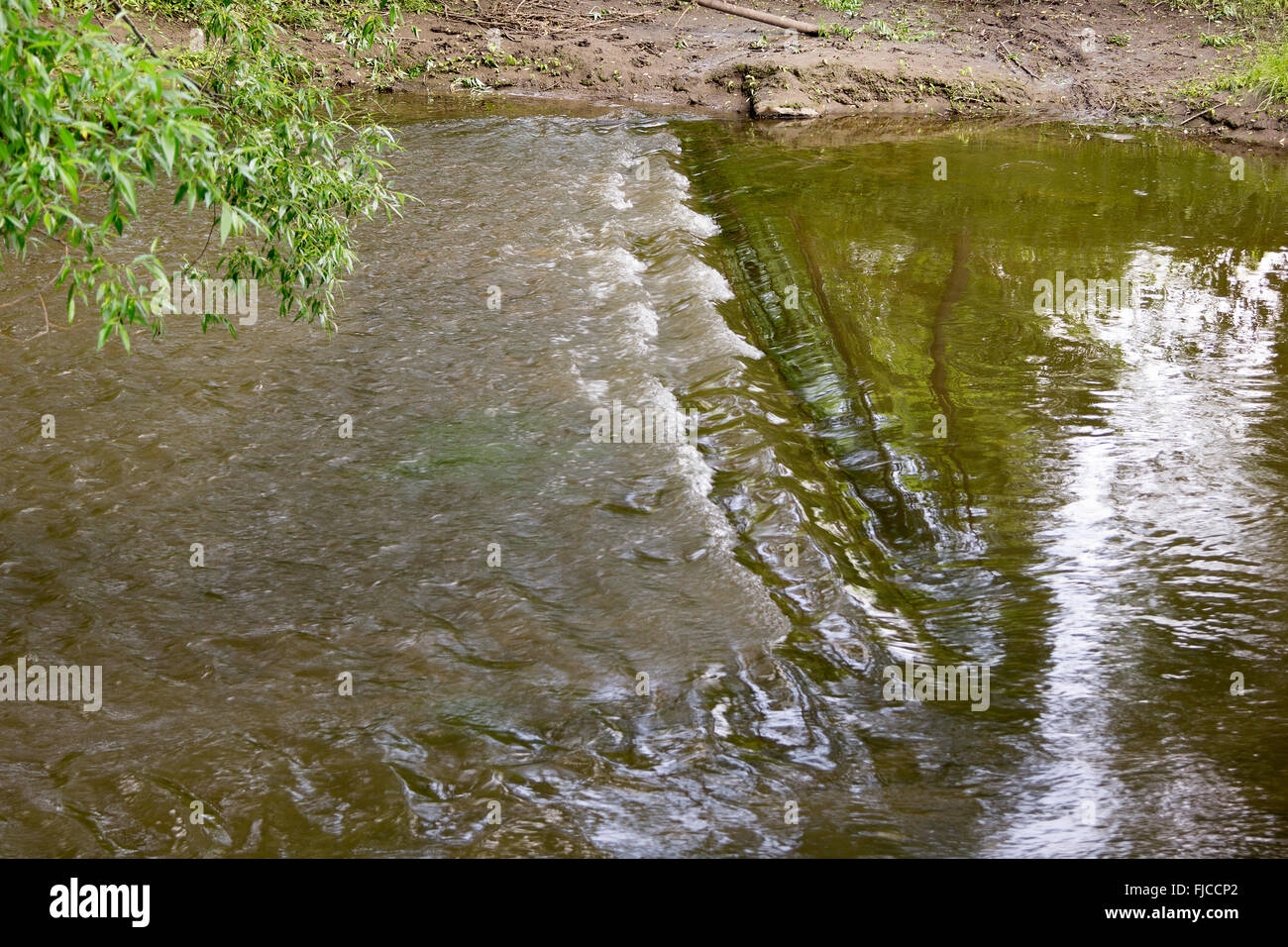 rapid stream of a small river in the forest Stock Photo - Alamy