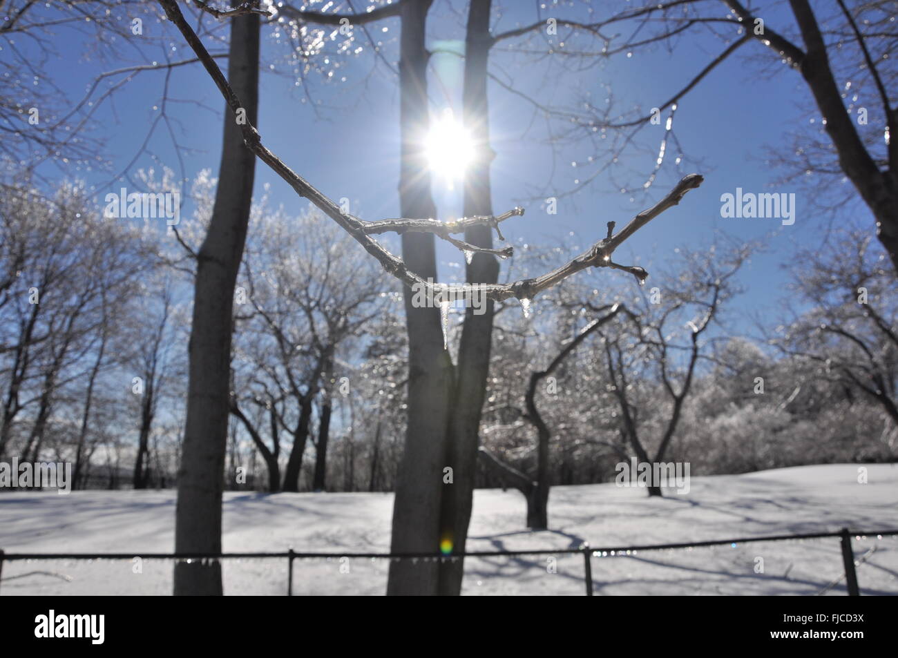 the Sun is trapped Stock Photo - Alamy