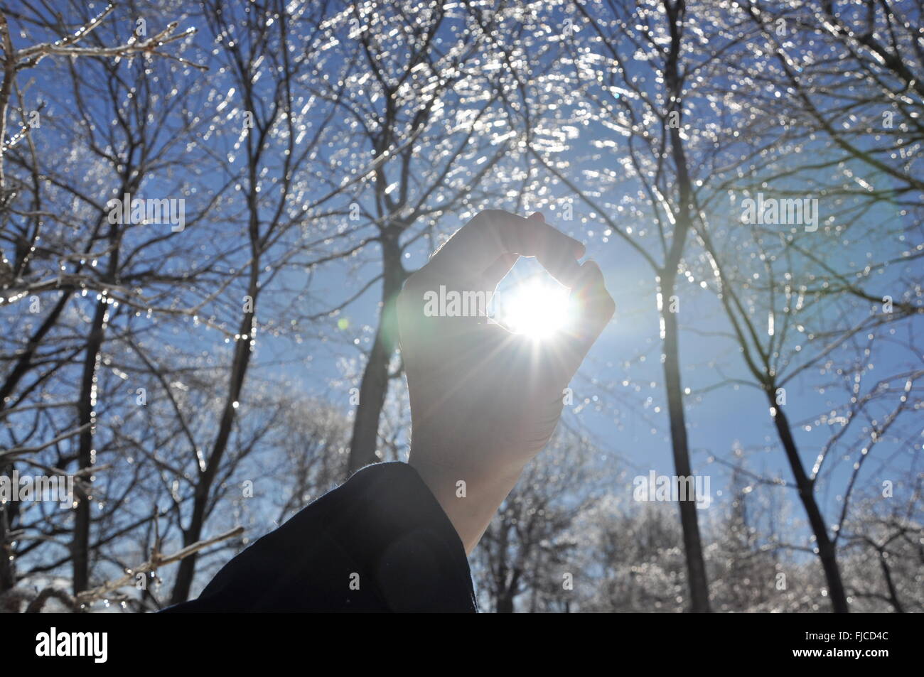 Sun catching hi-res stock photography and images - Alamy