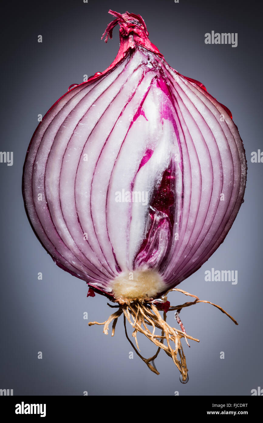 Red onion cut in half Stock Photo - Alamy