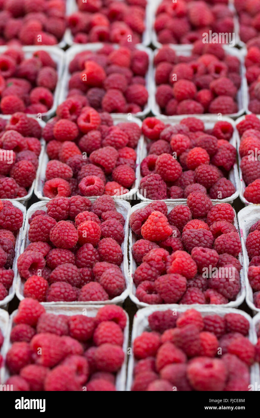 Red raspberries in boxes at local farm market Stock Photo - Alamy
