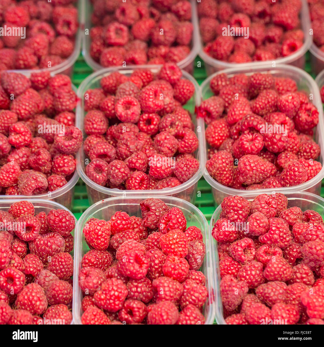 Red raspberries in boxes at local farm market Stock Photo - Alamy