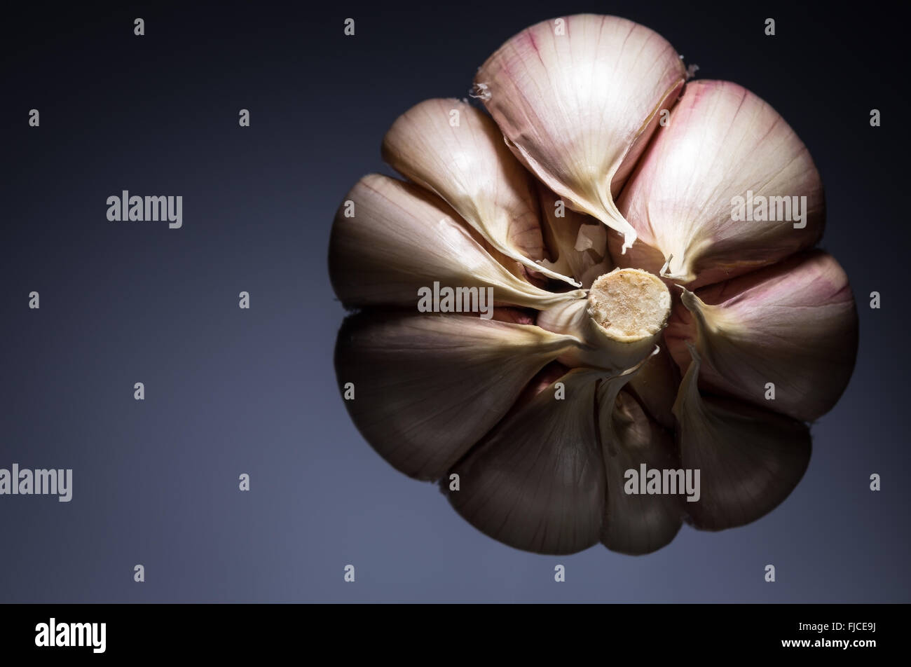 Phosphorus vegetarian hi-res stock photography and images - Alamy