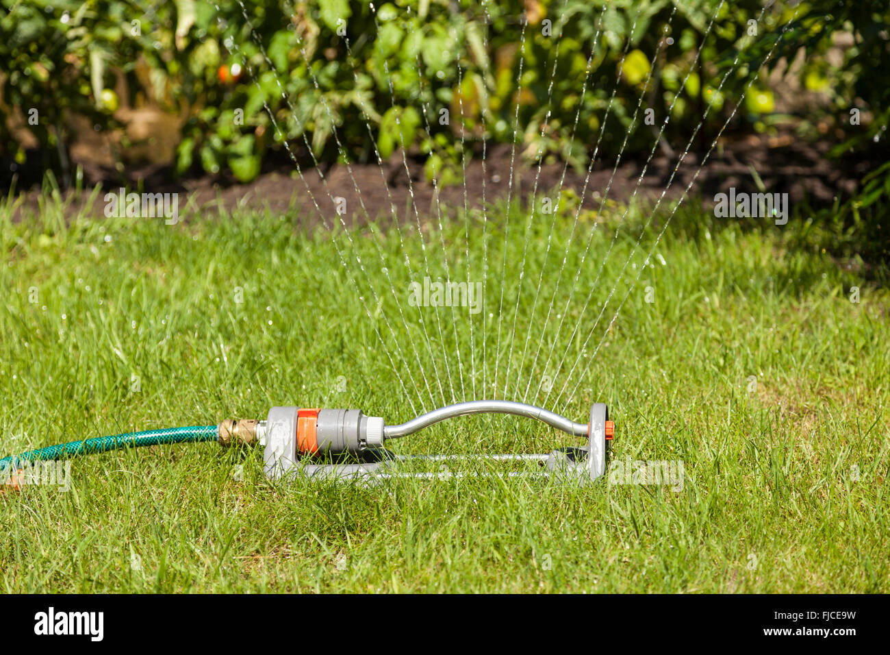 Sprinkler water hi-res stock photography and images - Alamy