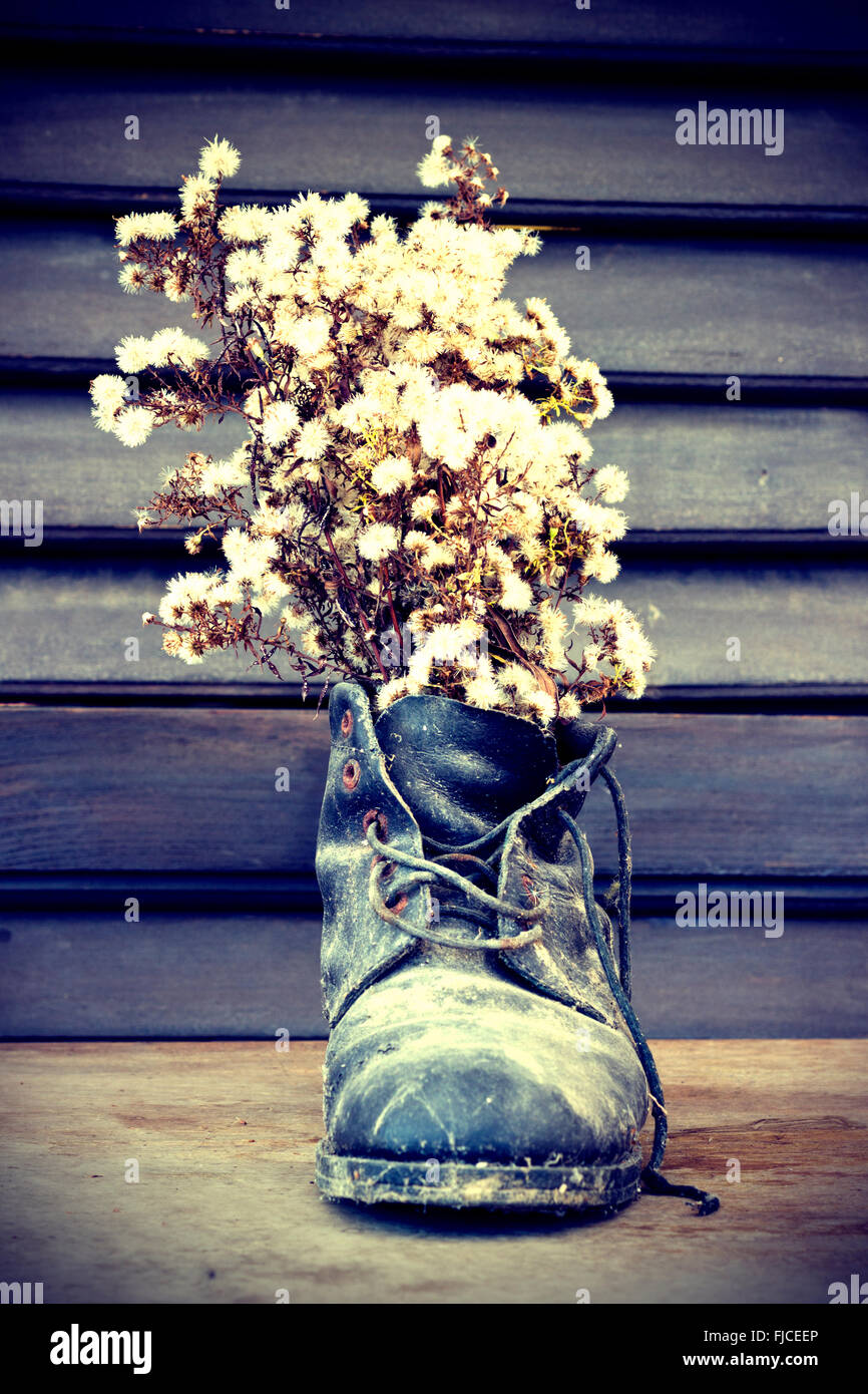 Old boot flowers hi-res stock photography and images - Alamy