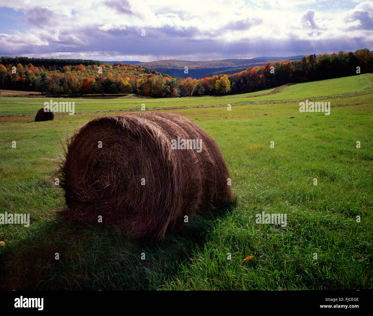 Field fall foliage hi-res stock photography and images - Alamy