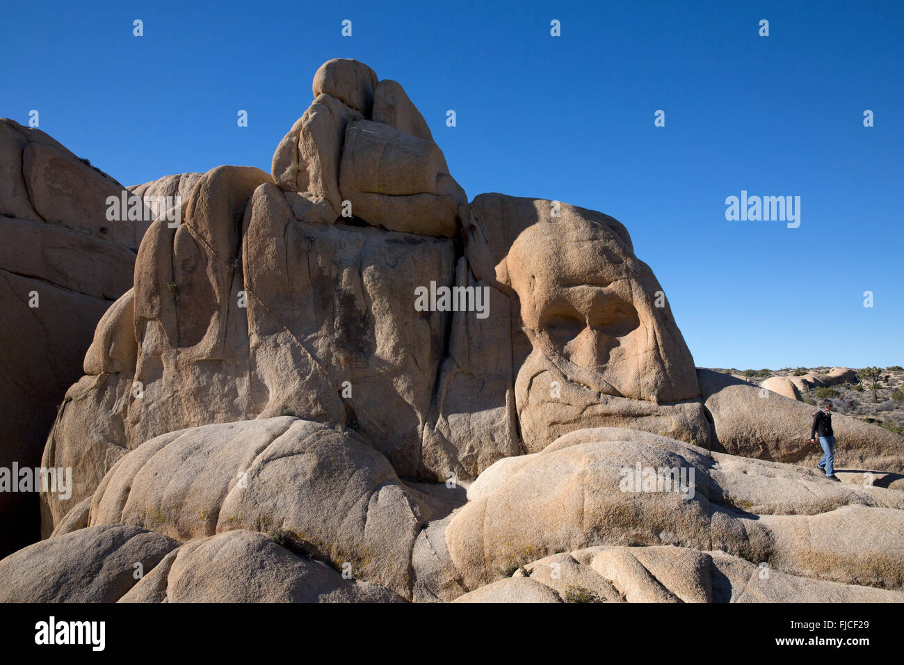 Jumbo Rocks, Joshua Tree National Park California USA Stock Photo - Alamy