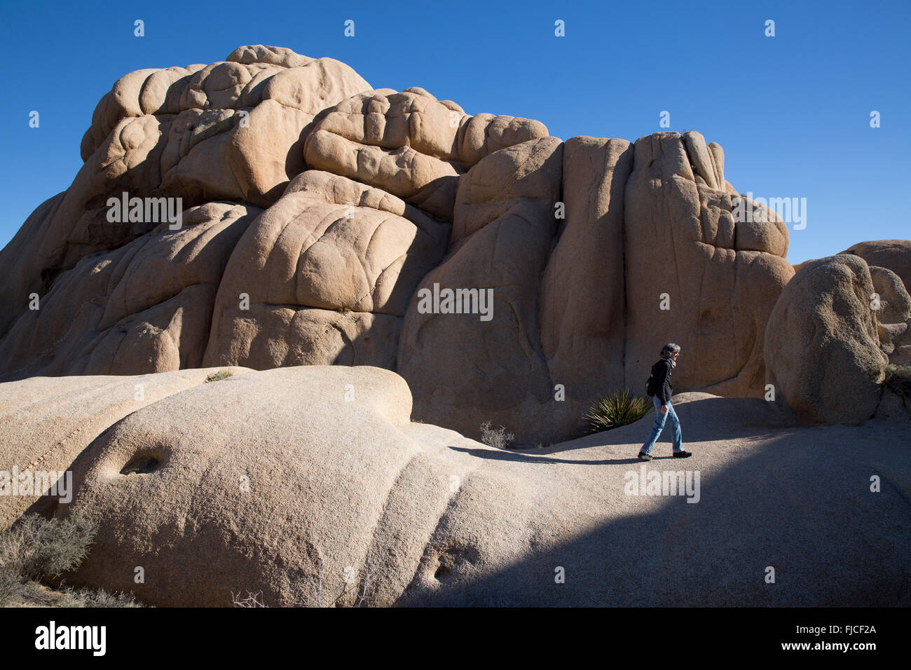 Jumbo Rocks, Joshua Tree National Park California USA Stock Photo - Alamy