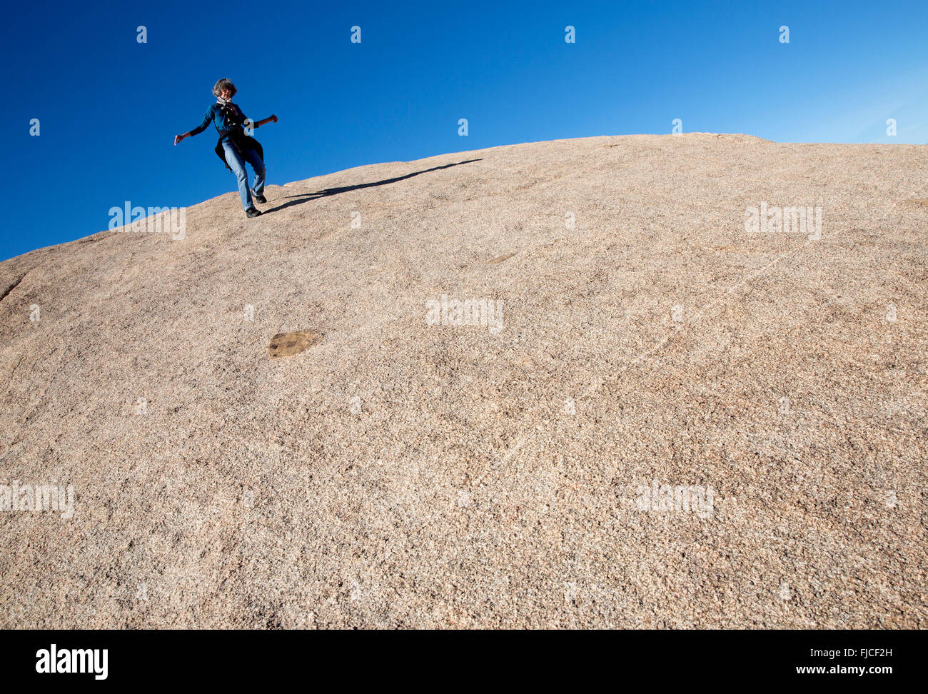 Jumbo tree hi-res stock photography and images - Alamy