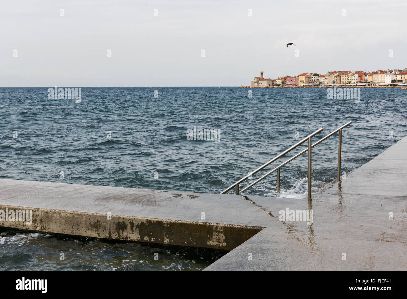 Piran swimming hi-res stock photography and images - Alamy