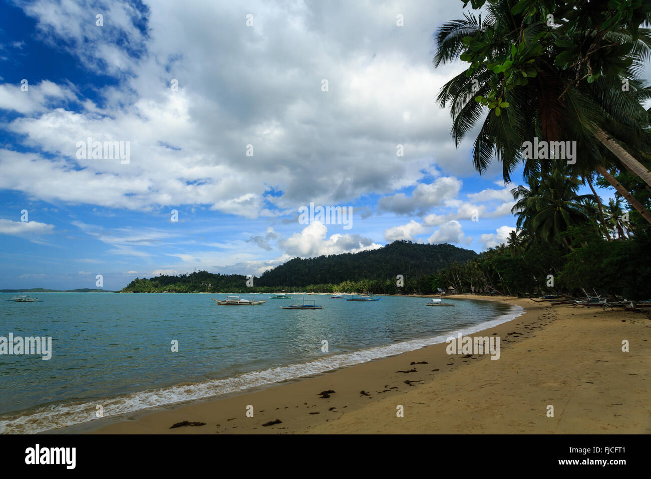 Waves crash on curving tropical beach lined with boats and palm trees ...