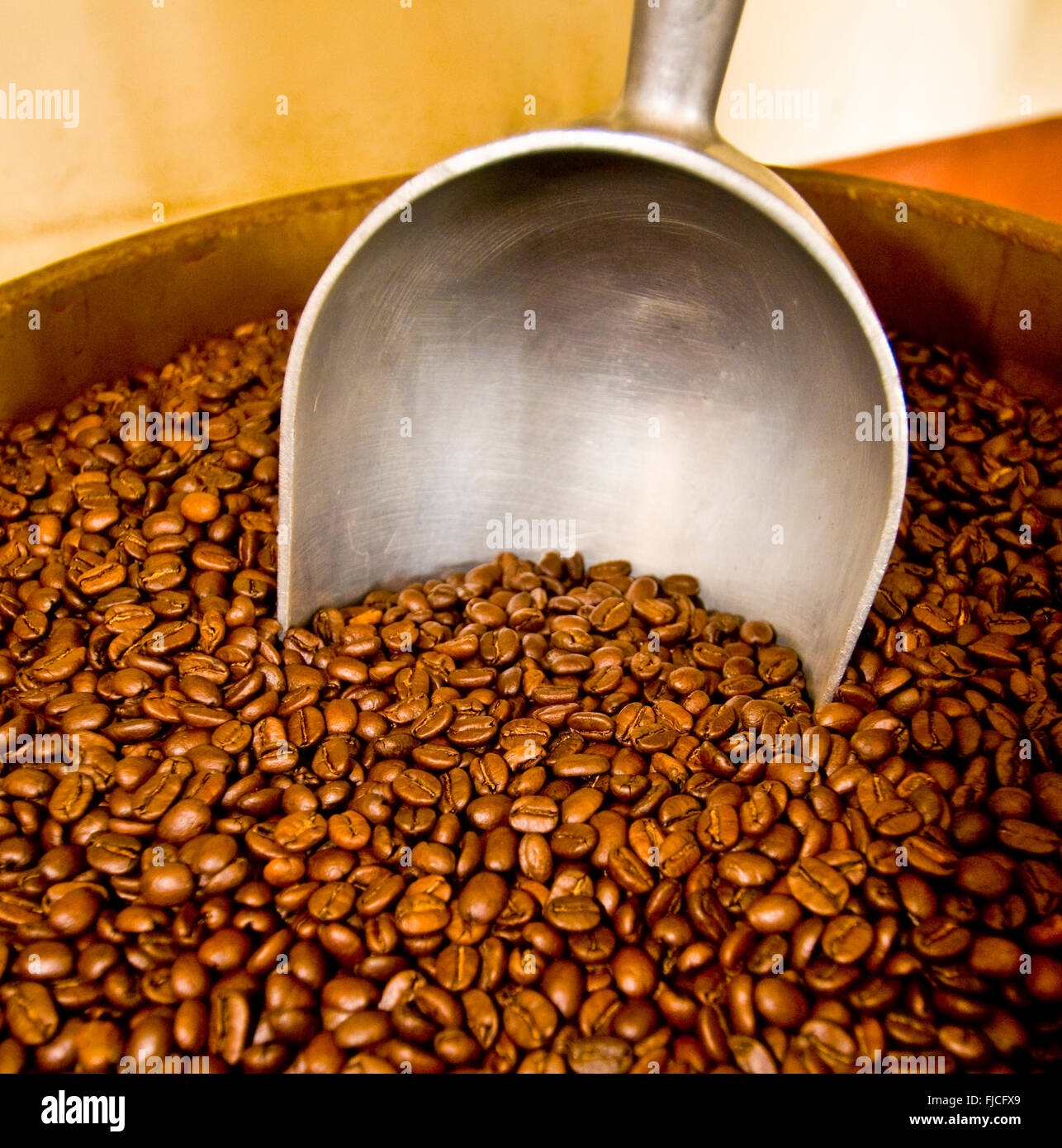 Coffee Beans, Cafe De Costa-Doka Estate, Alajuela, Costa Rica Stock ...