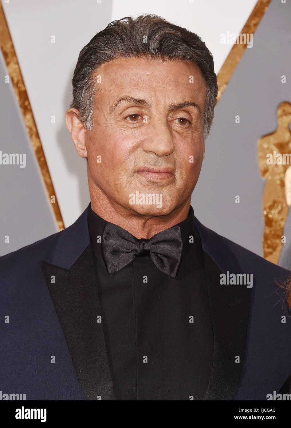 SYLVESTER STALLONE US film actor at the Oscars in February 2016. Photo ...