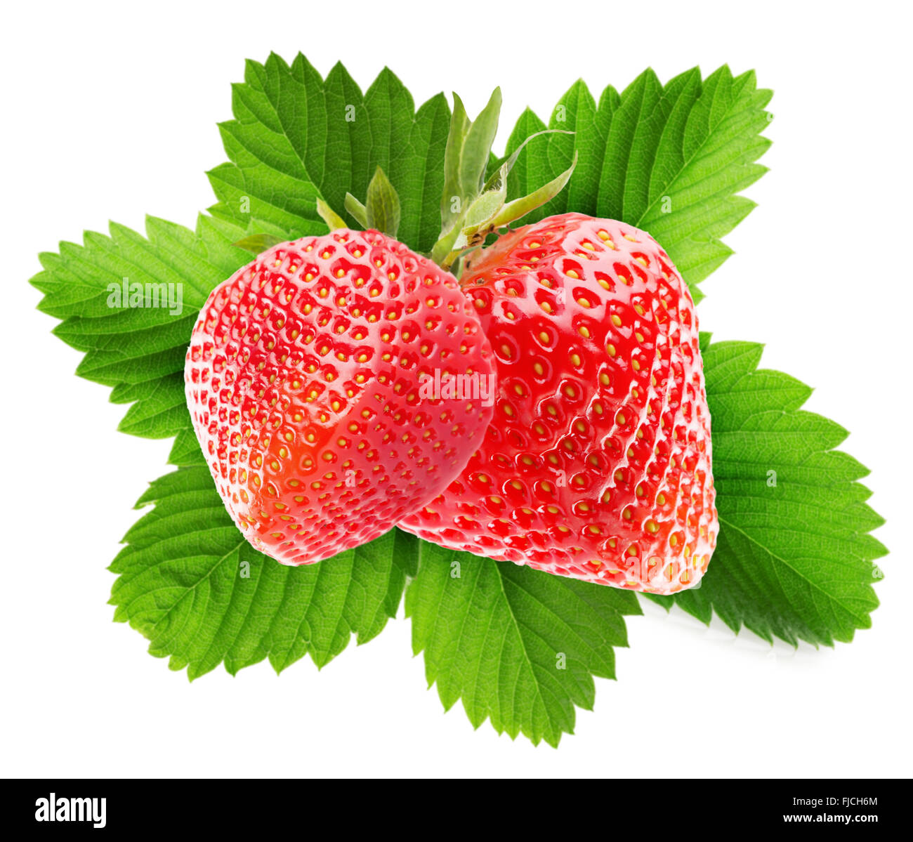 strawberries isolated on the white background Stock Photo - Alamy