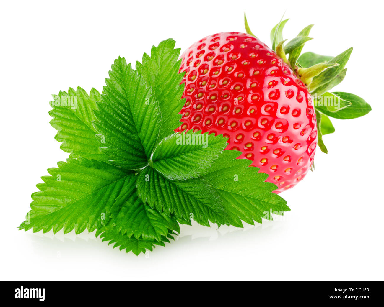 strawberry isolated on the white background Stock Photo - Alamy