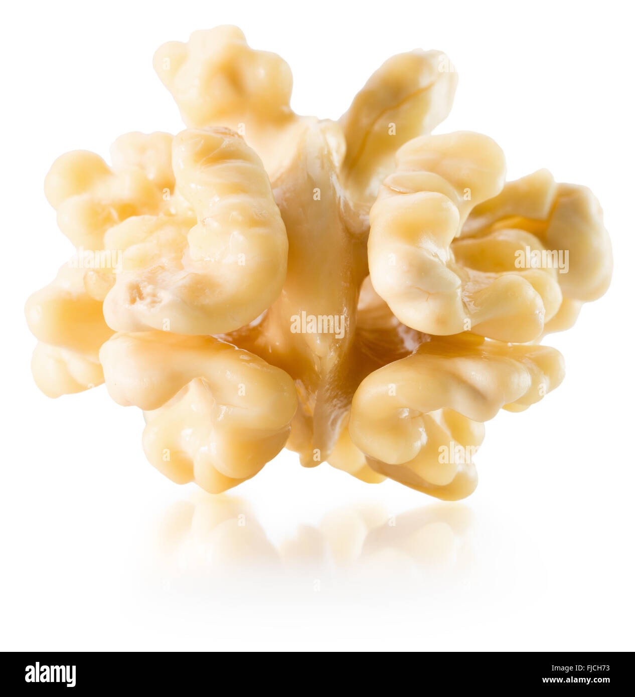 walnut kernel isolated on the white background Stock Photo - Alamy