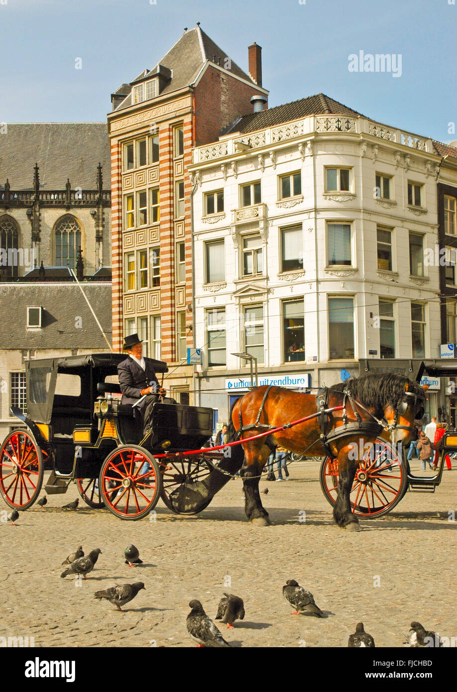 Amsterdam, Horse and Carriage in Dam Square. Netherlands, Holland Stock ...