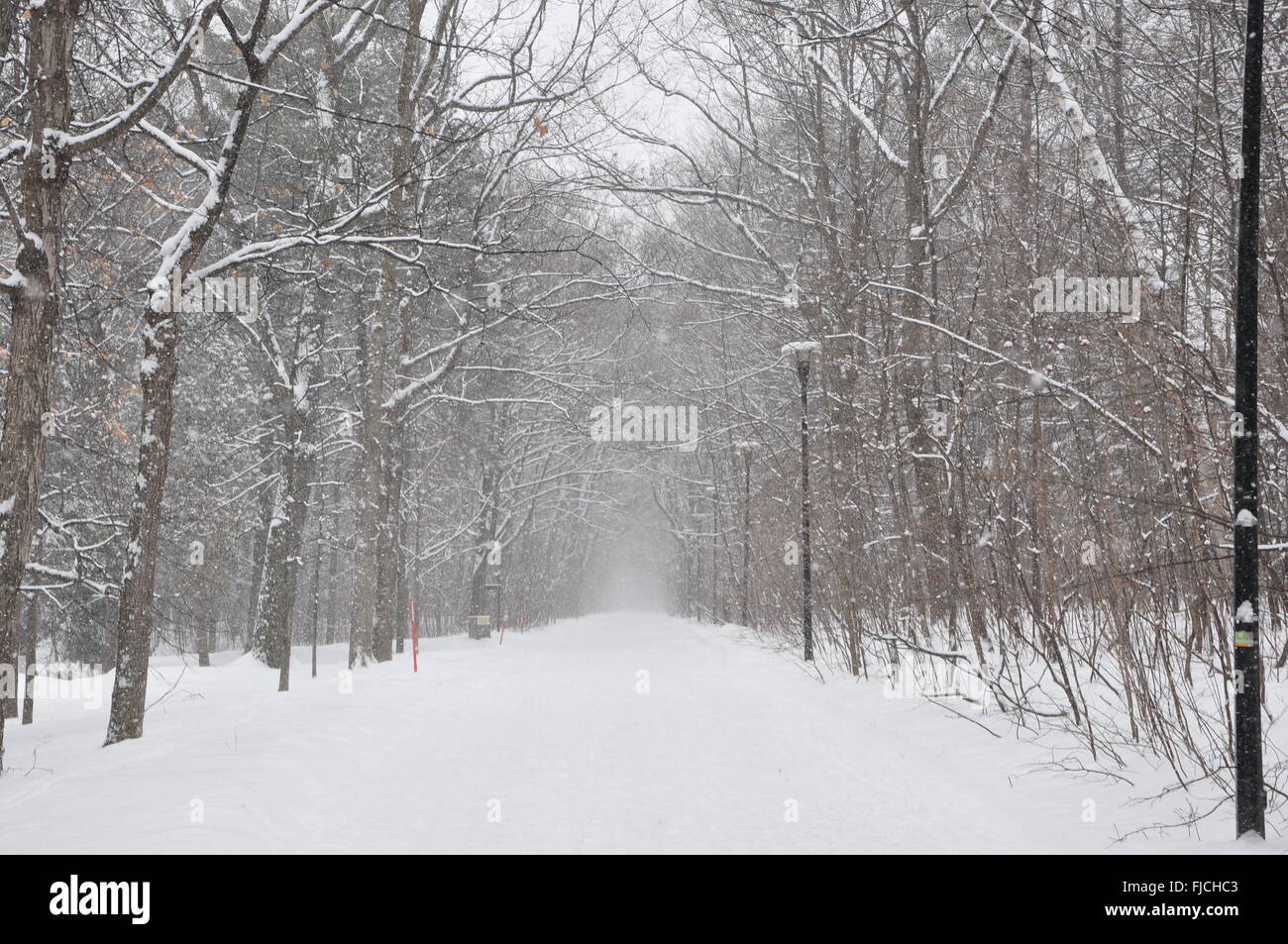 nature is so beautiful without humans Stock Photo - Alamy