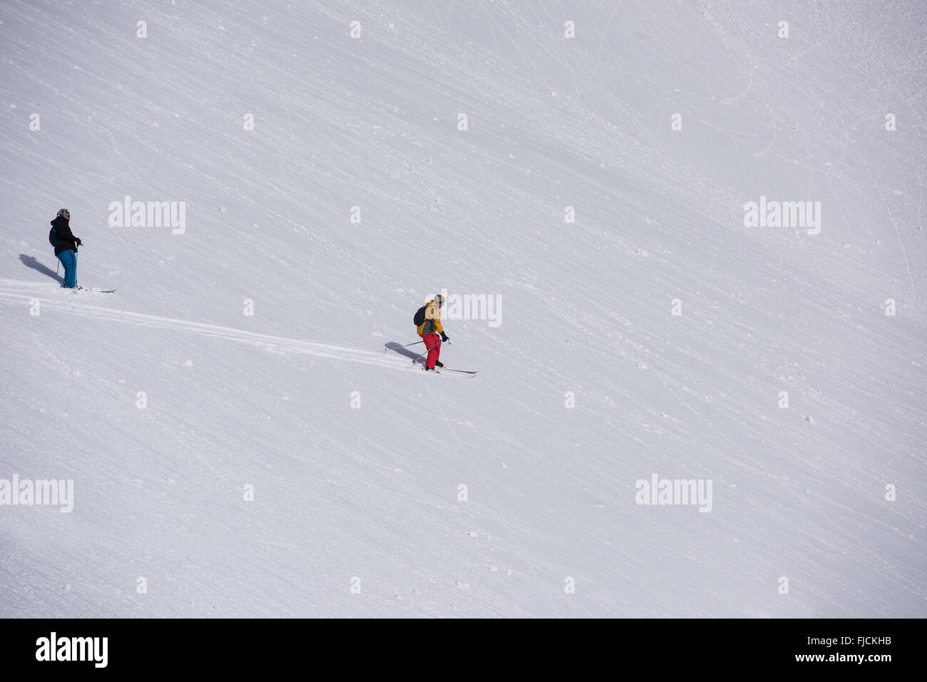 extreme freeride skier skiing on fresh powder snow in downhill at ...