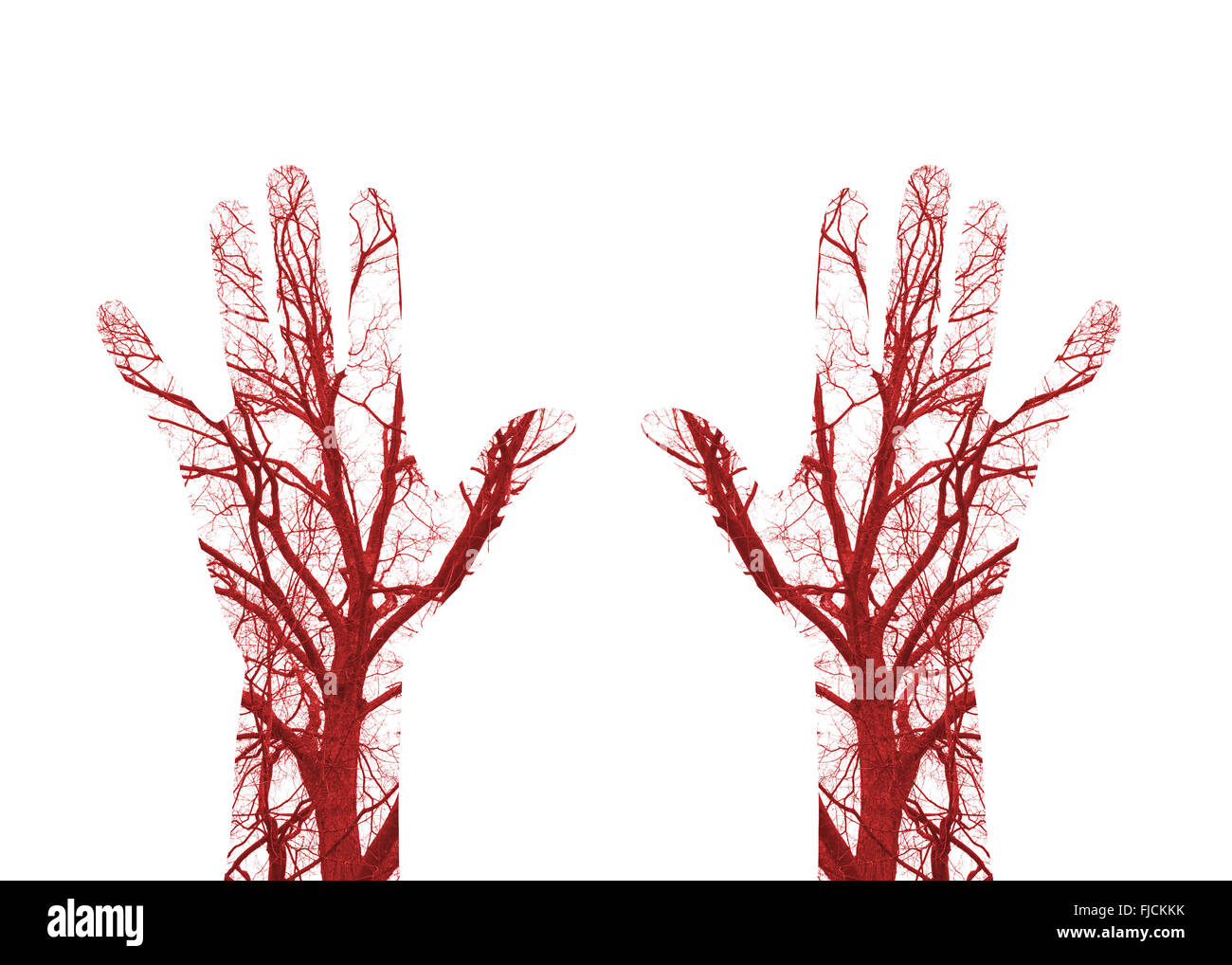 Make up test hand Cut Out Stock Images & Pictures - Alamy