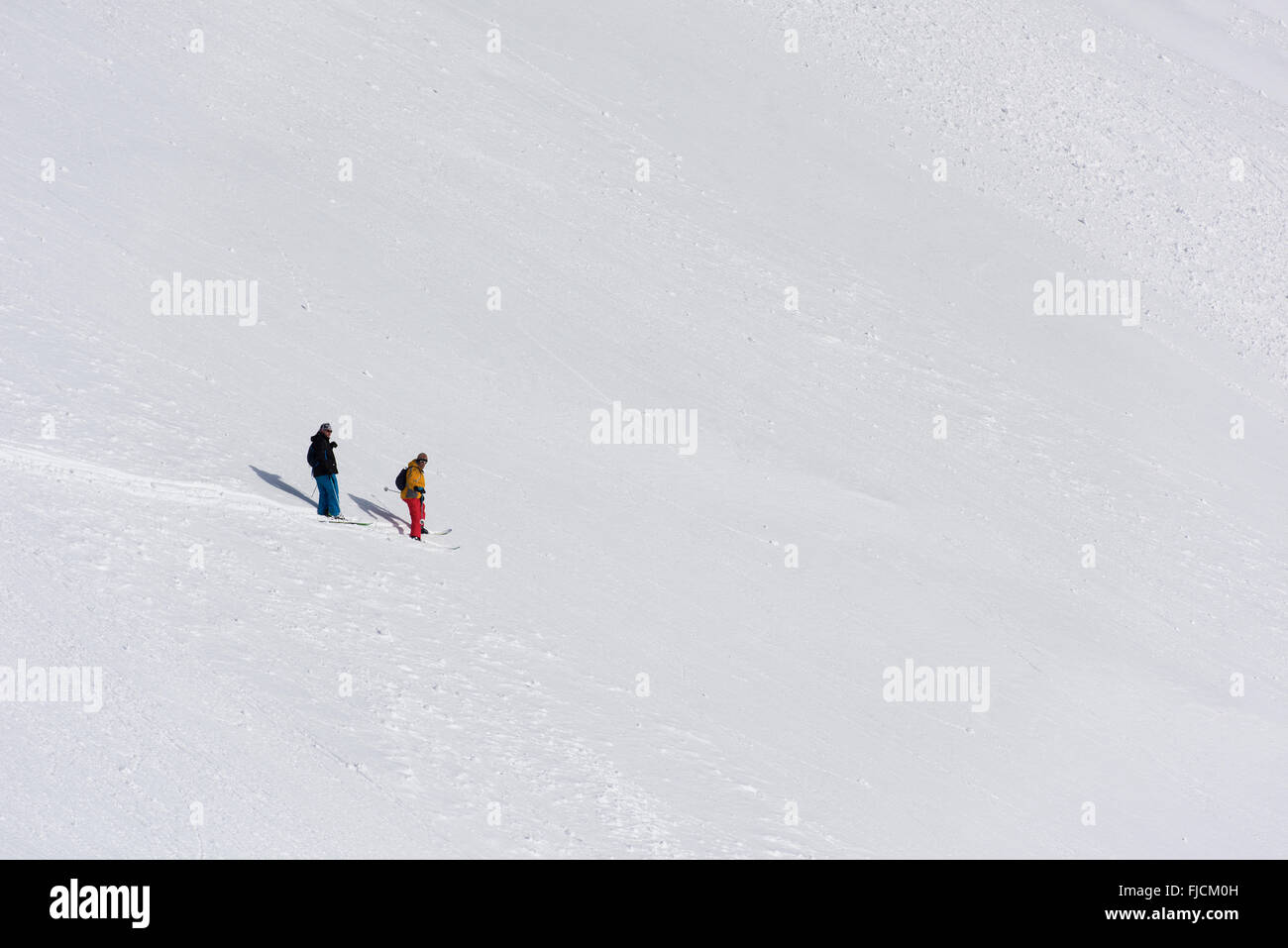 extreme freeride skier skiing on fresh powder snow in downhill at ...