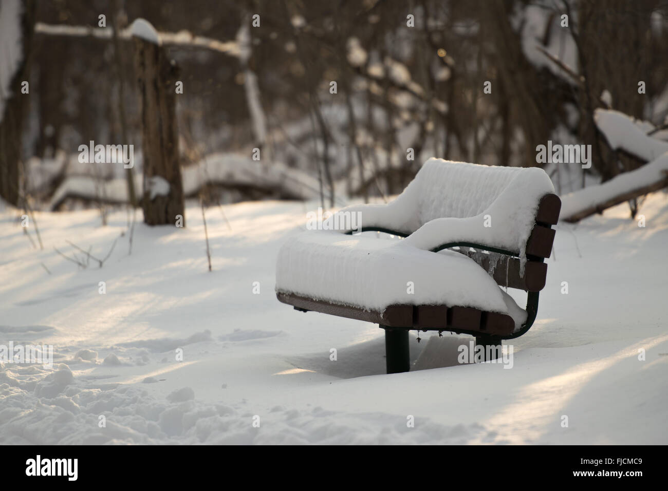 Bench in Winter Stock Photo - Alamy