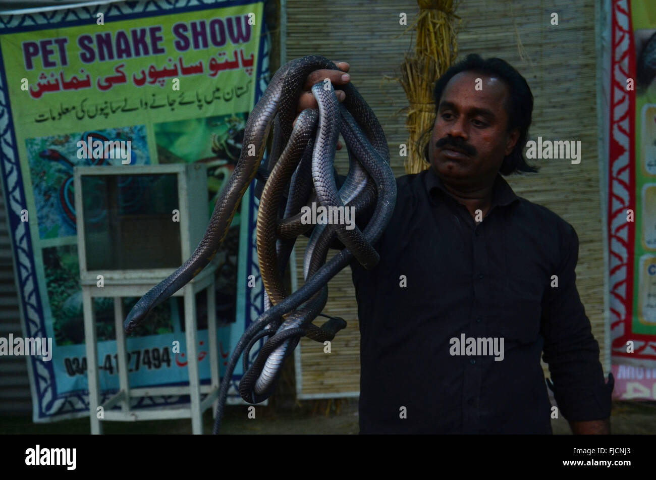 Lahore, Pakistan. 01st Mar, 2016. A man performs snake show during the ...