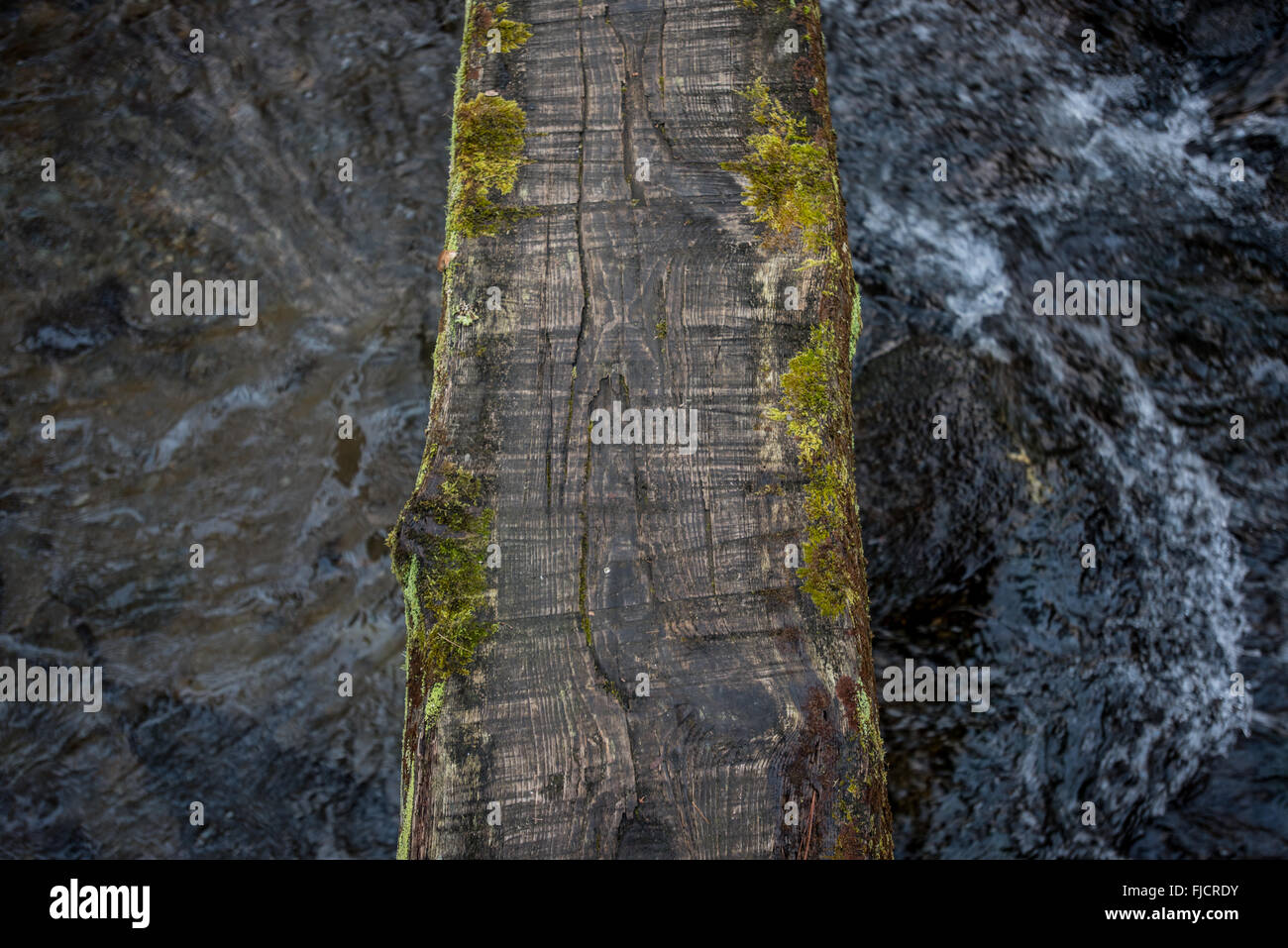 Crossing log bridge hi-res stock photography and images - Alamy